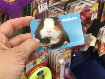 26 PetSmart Hacks You Won’t Want to Shop Without! - The Krazy Coupon Lady