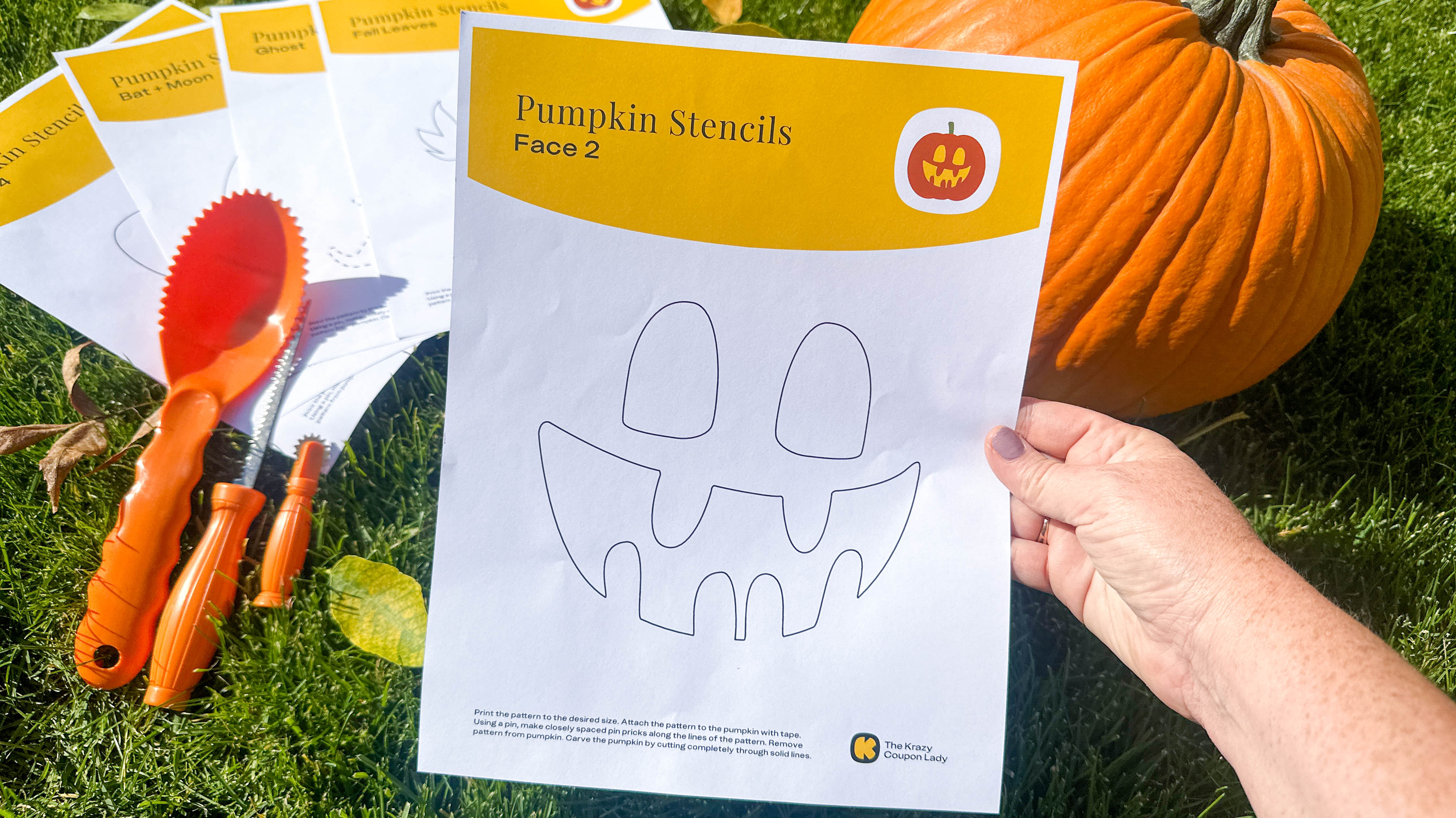 Pumpkin Stencils D23 Halloween Spell Ebration Pumpkin Stencils D23